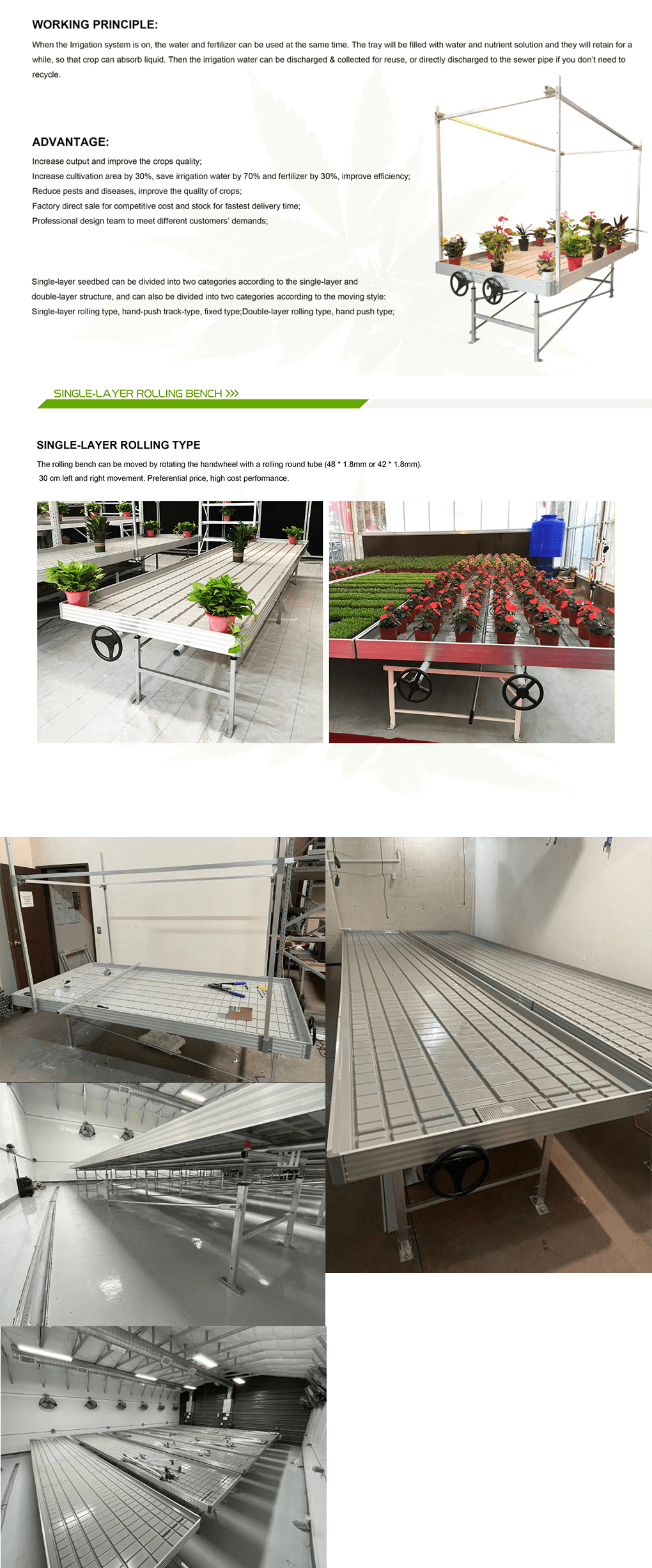 Rolling bench - KeKu Rolling Bench